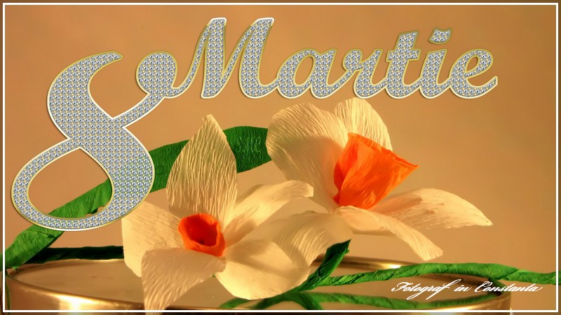 8 Martie - Ziua internationala a femeii - Ziua mamei - Fotograf in ...
