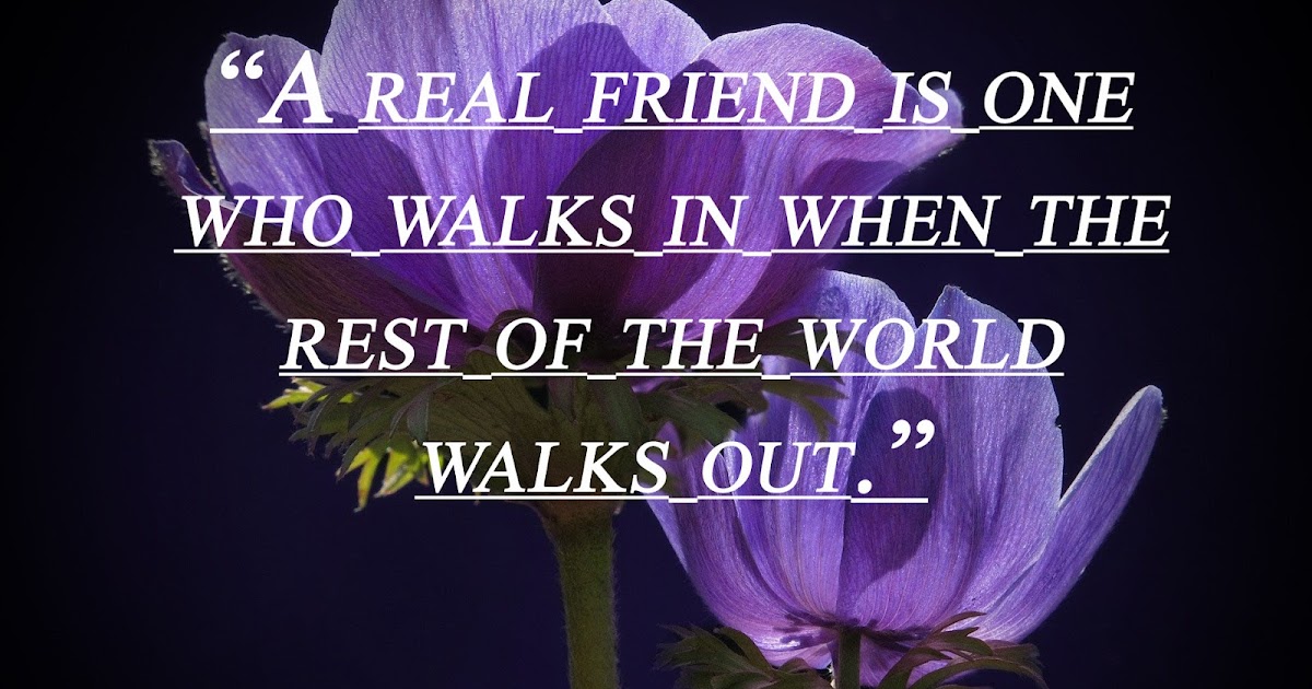 Quotes About Friendship In English quotes-about-friendship-in-english