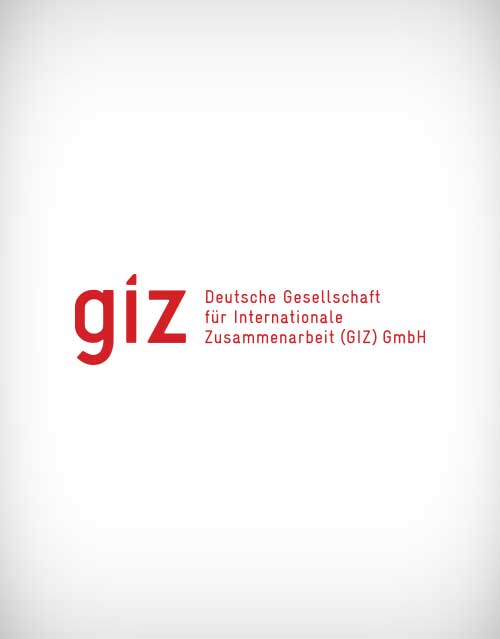 giz vector logo
