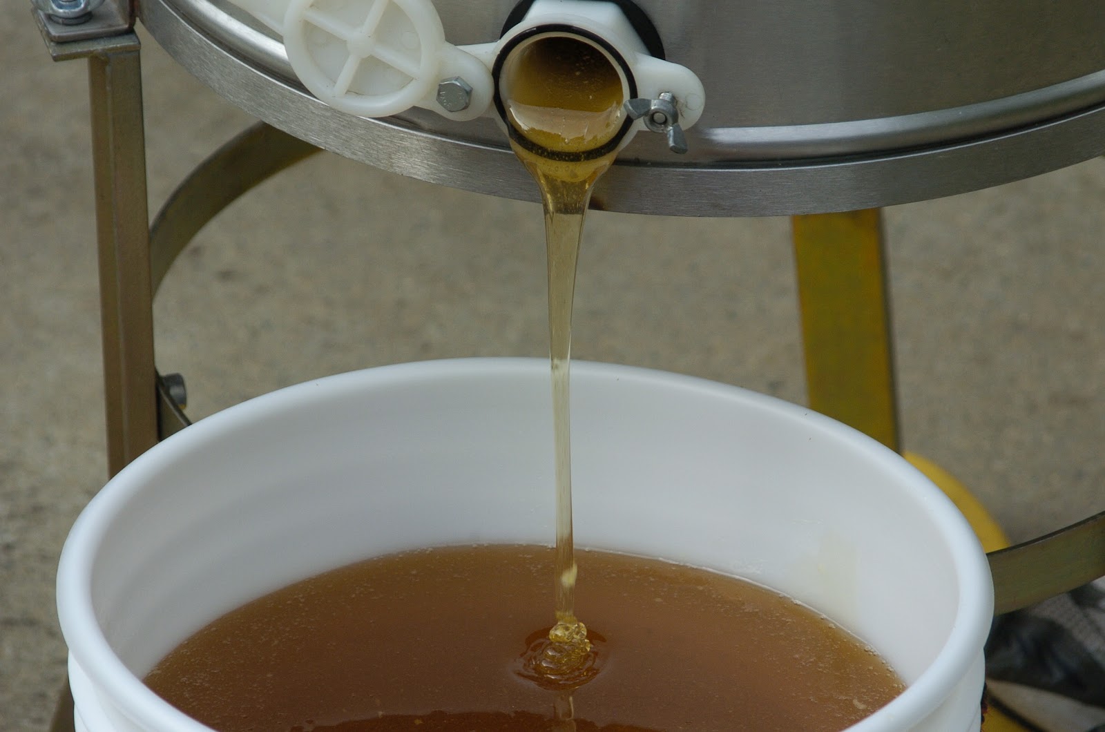 The Old North State Honey: Honey Extraction - (May 18)The Old North ...