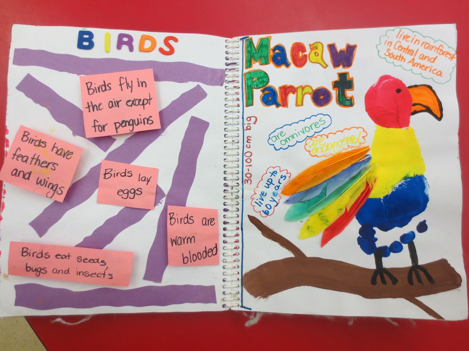 Visual Journals for Kids