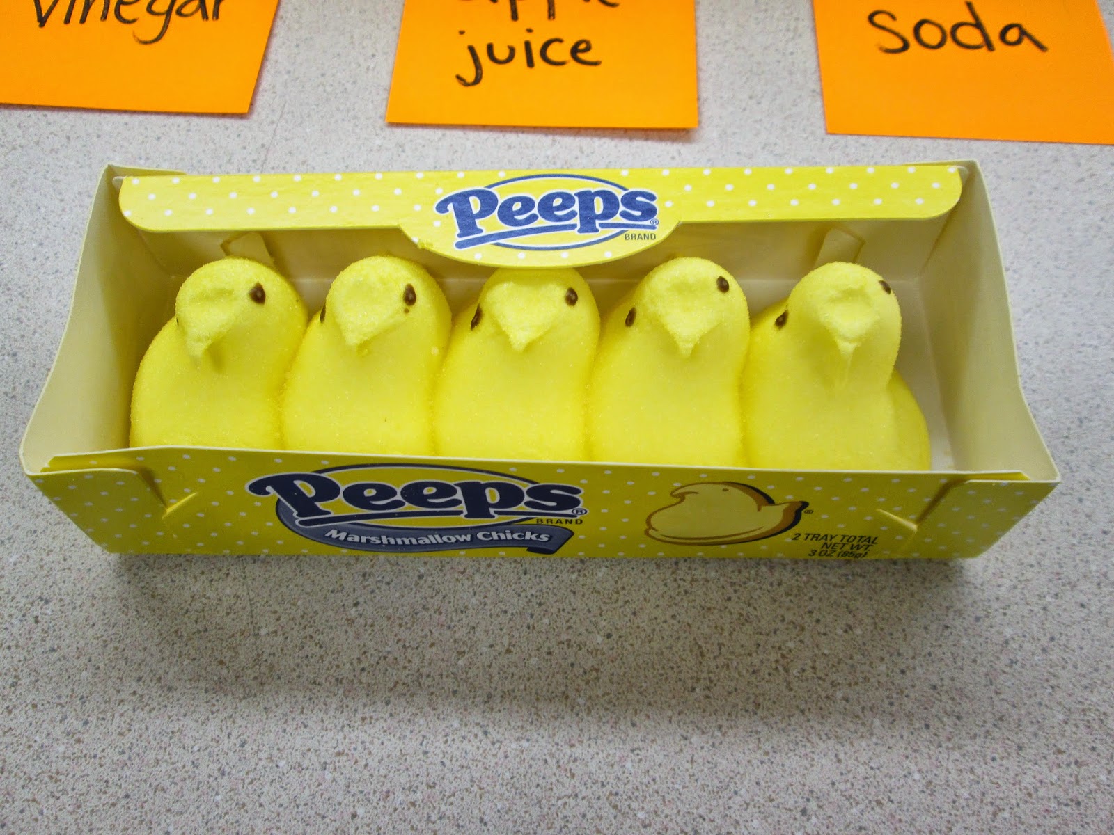 Adventures in Third Grade: Disappearing Peeps!