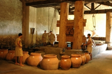 Wine - Making - Fun: Ancient Wine Making Process