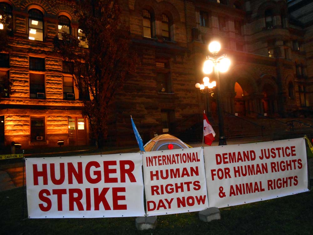Hunger Strike At Toronto Court House Bird Tattoos