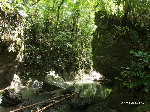 The rainforests of Borneo & Southeast Asia: Exploring @ limestone river ...
