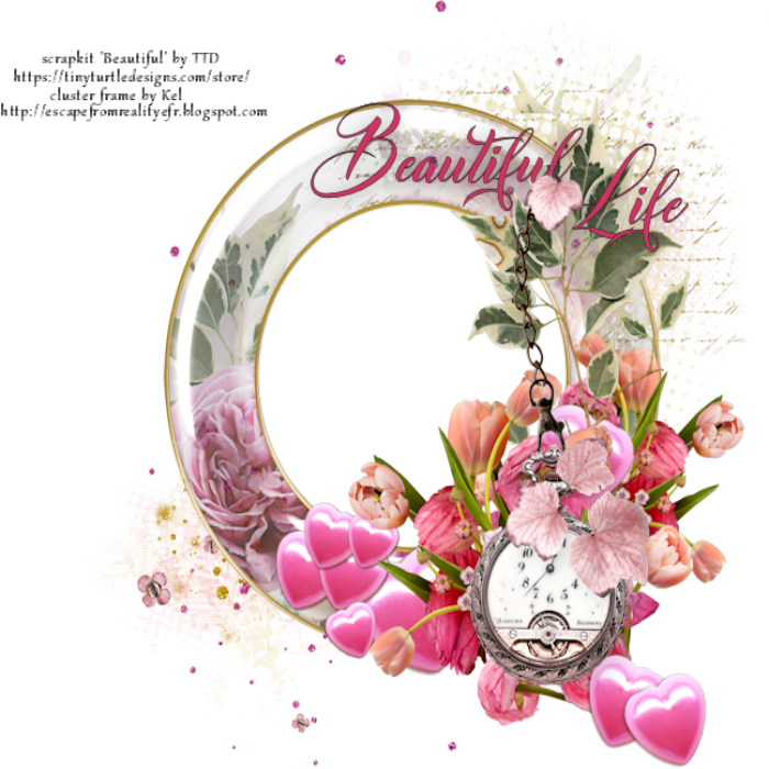 Escape From Reality Blog: FTU Cluster Frames 'Beautiful' TTD