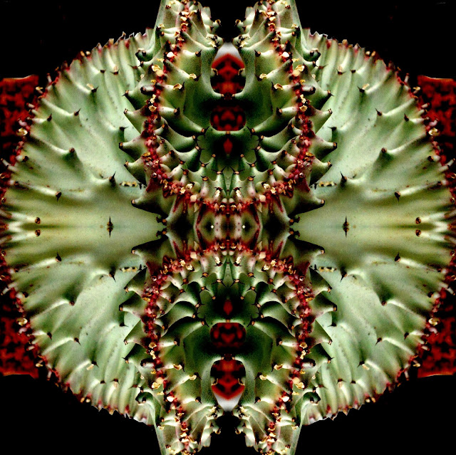 MarianneDowFoto Blog - Art Photography by Marianne Dow: Psychedelic ...