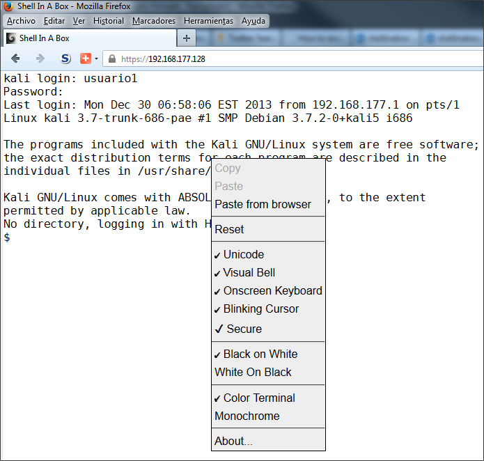 Cómo Acceder A Un Terminal Ssh Desde El Navegador Web