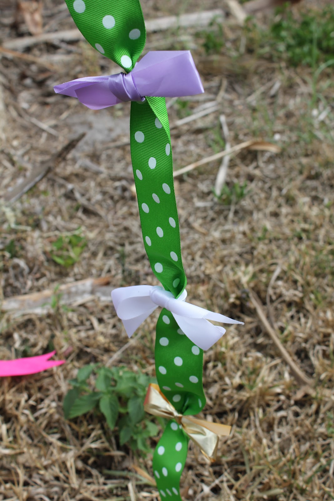 First Birthday Party - 5 - Welcoming Kites | nasagreen