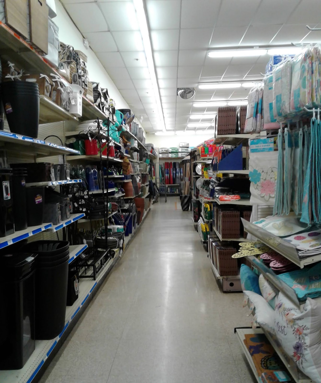 My Florida Retail Blog: We'd Like to Make Big Lots Your Store!