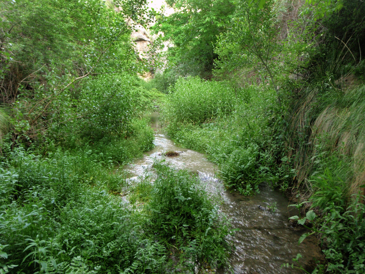 davidmalabarista 2.0: Barranco Pozo de las Palomas