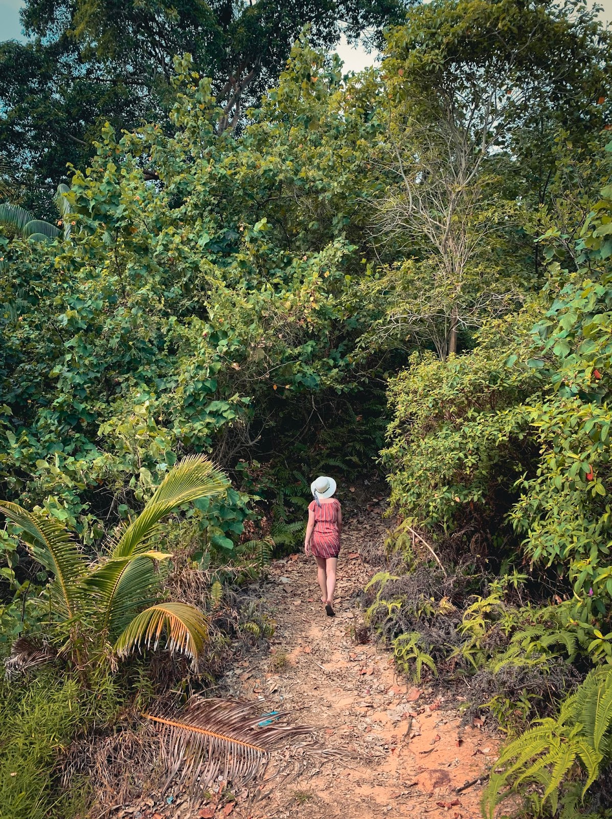 Pandang Island - Brenda lu