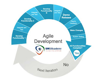 Qms Academy: Significance of Agile Development Model