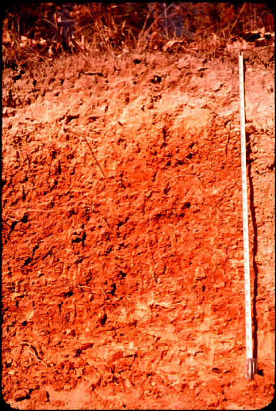 (PPTX) Dasar Ilmu Tanah Tanah Ultisols - DOKUMEN.TIPS