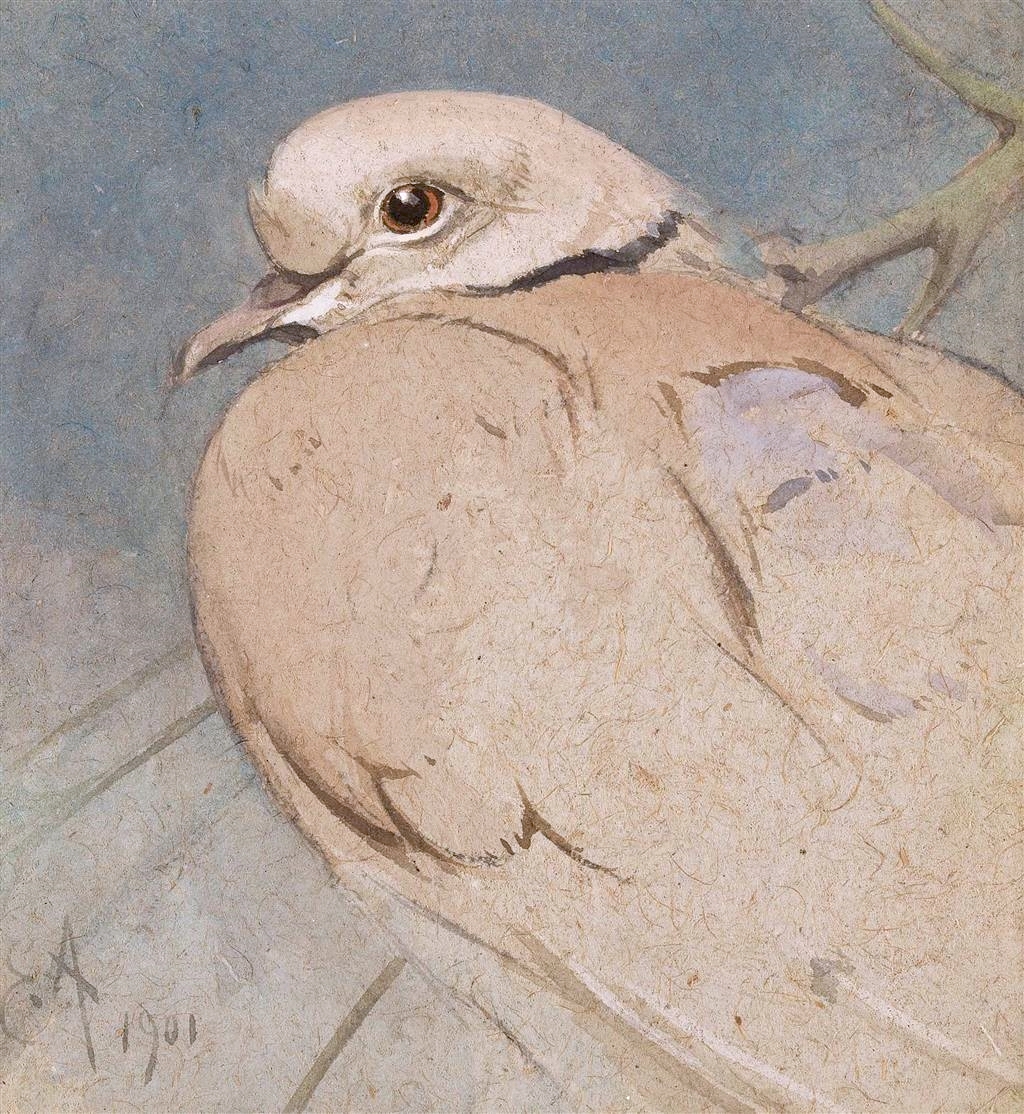 Gurney Journey: Edwin John Alexander