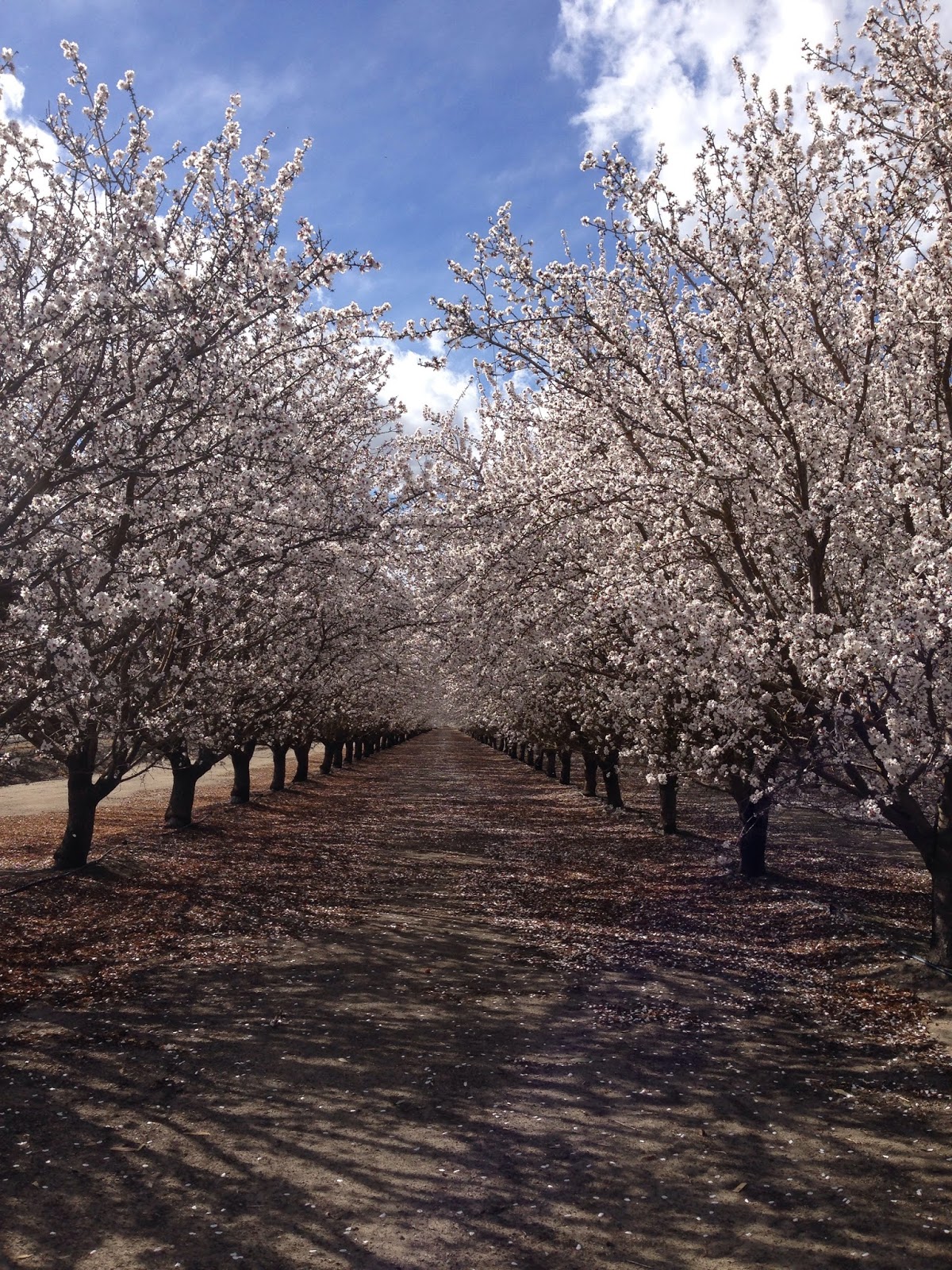 Sustainable Ag: A View from the Field