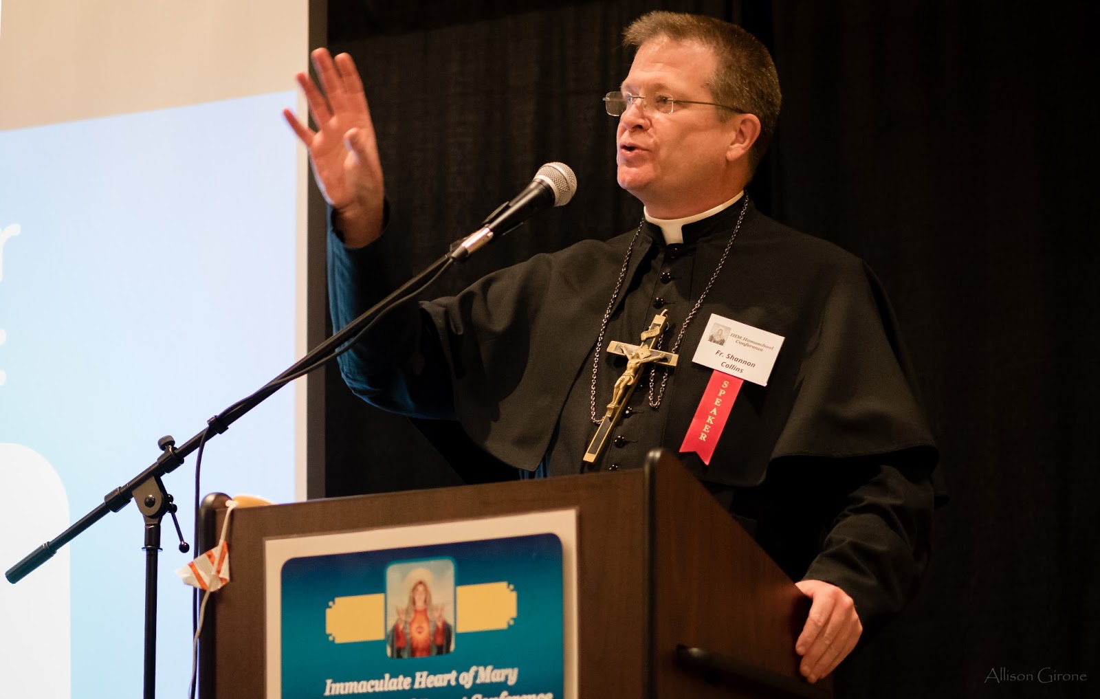 Fr. Shannon Collins - Purgatory, the Perfecting Fire - IHM National ...