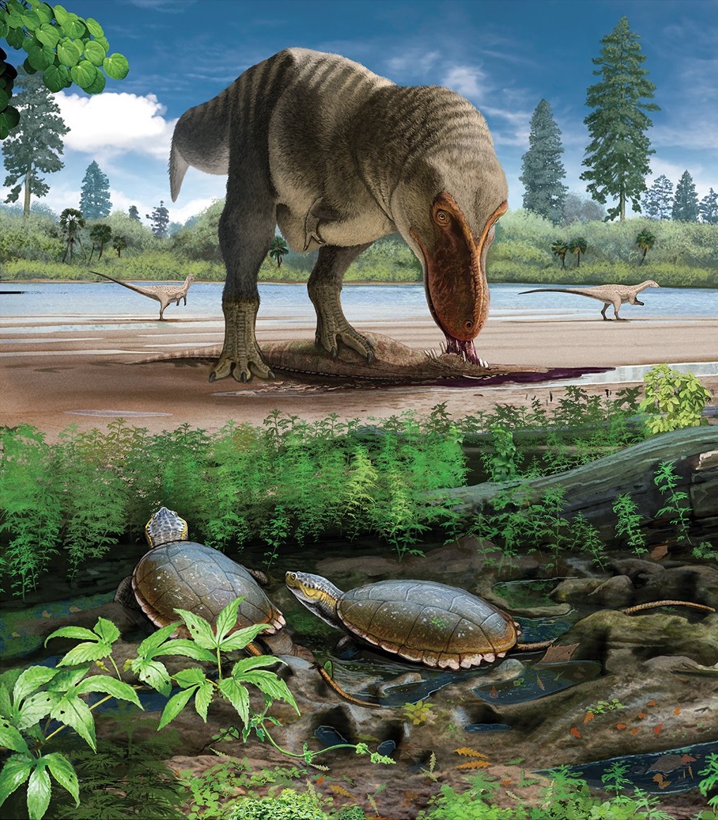 Species New to Science: [Paleontology • 2019] Saxochelys gilberti • A ...