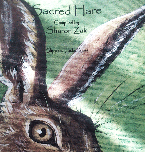 Maria Forrester Illustration: Sacred Hare Book on Sale