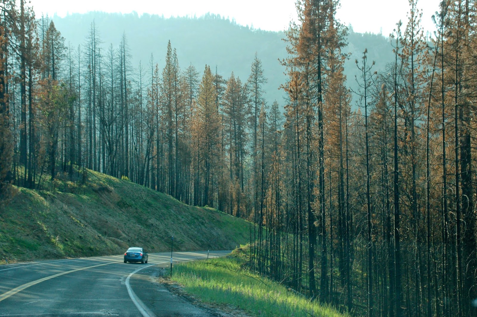 The Minnesota Forecaster: As Minnesota Gets Waterlogged, California's ...