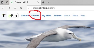 What Birds Are In My Area? Free EBird Tutorial Shows You!