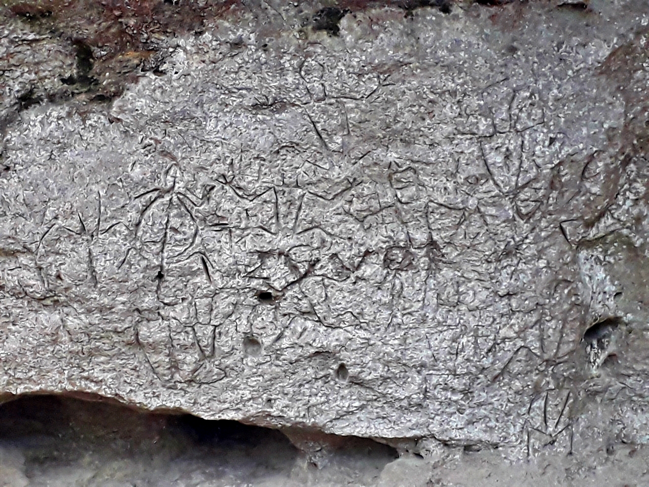 The Neolithic Rock Art Petroglyphs of Angono | Rizal - Nomadic Experiences