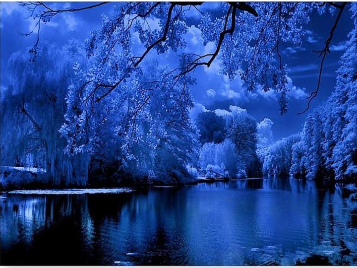 Best WallPapers: Beautiful blue of nature Best Wallpapers
