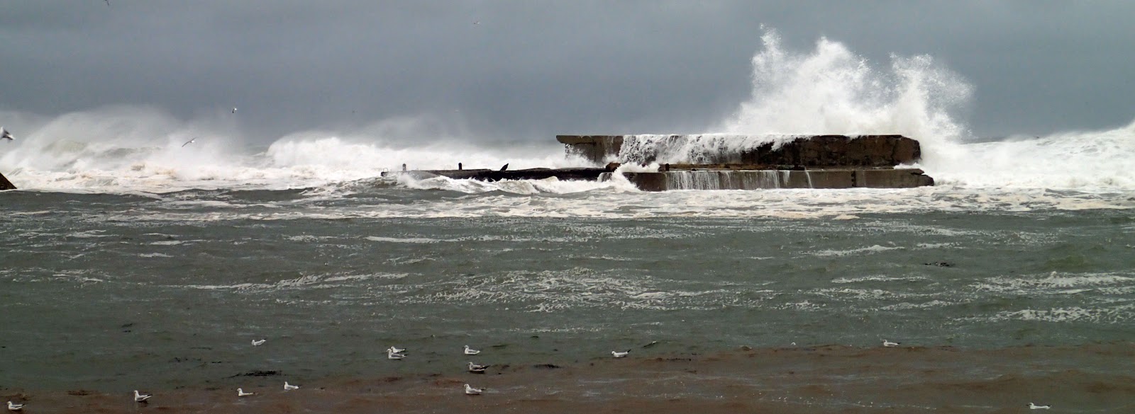 walking the rainbow trail: Sandhaven Harbour