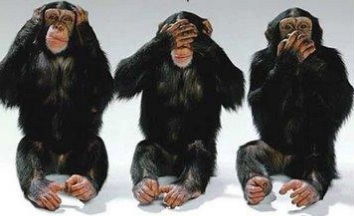 Tradutora de Espanhol: Expresiones idiomáticas con la palabra "mono/a"