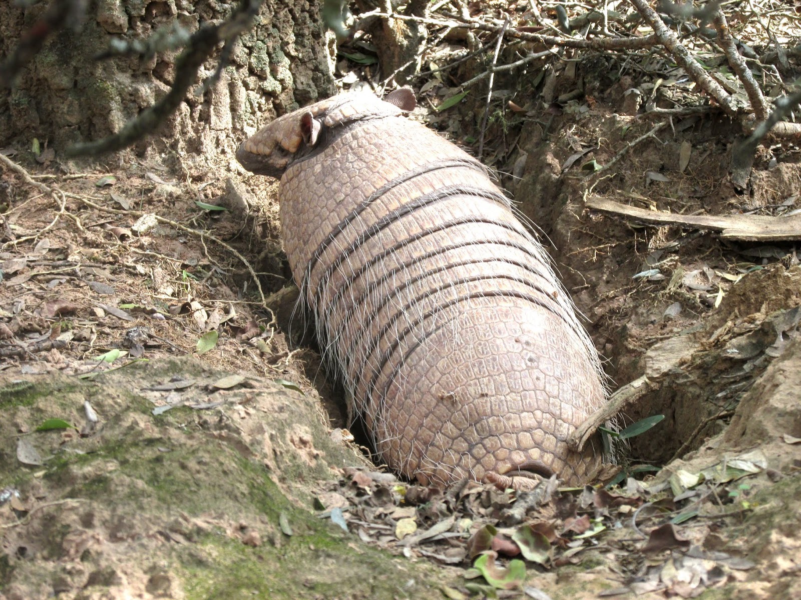 Reserva Natural Formosa: Ambientes, Flora y fauna