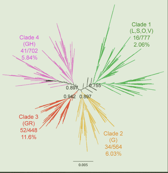Avian Flu Diary: Viruses: Genomic Signatures of SARS-CoV-2 Associated ...