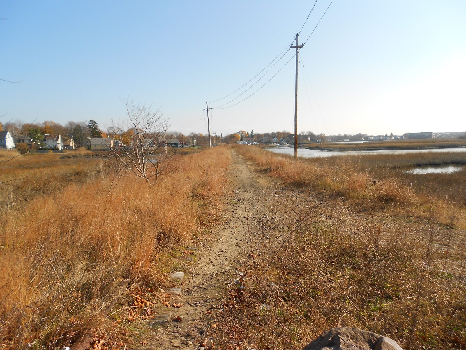Breakheart Trail Running: Northern Strand Community Trail