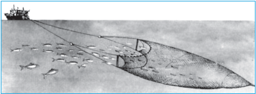 Pelestarian Wilayah Laut Indonesia | Materi Kelas 6 SD - Daftar 15