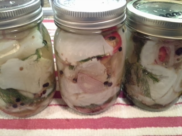 You have to cook it right: Pickled Northern Pike an Adventure Long Overdue