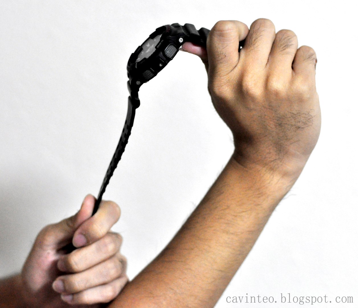 Entree Kibbles: Another Use for Casio G-Shock - Fly Eliminator!