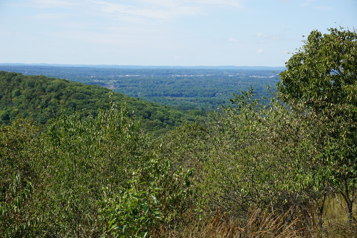 Harriman Hiker: Harriman State Park and Beyond: Hook Mountain Ridge
