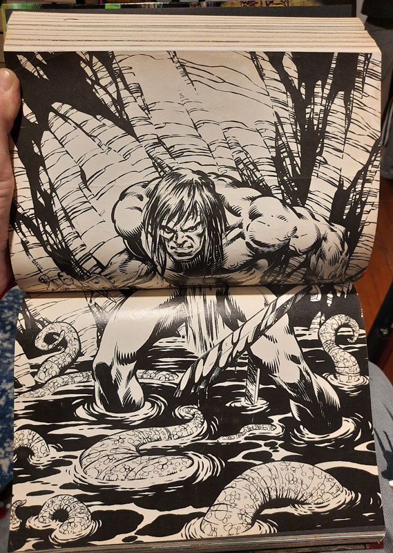 HARDCOVER HEROES: Comic Book Binding