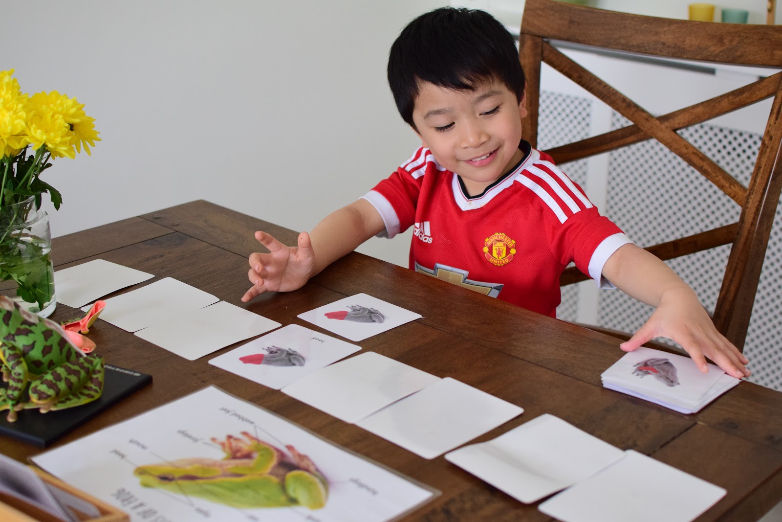 Parts of a Frog Learning Materials for Kids | The Pinay Homeschooler