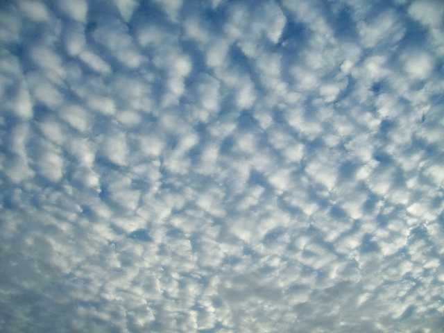 Apie debesis: Rūšys