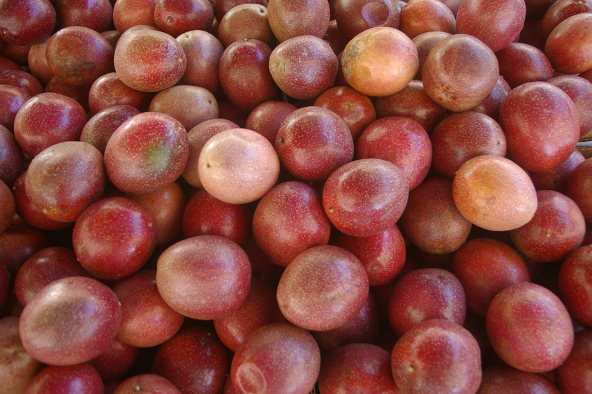 Maracujá Vermelho Azedo - Passiflora Panamá Red