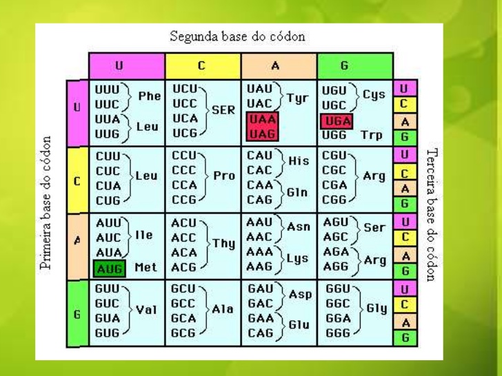 Aula Virtual Colegio Moralba-Ciencias: NOVENO