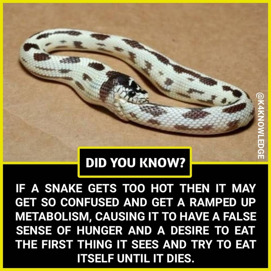 [40+] Amazing Facts, Interesting Facts