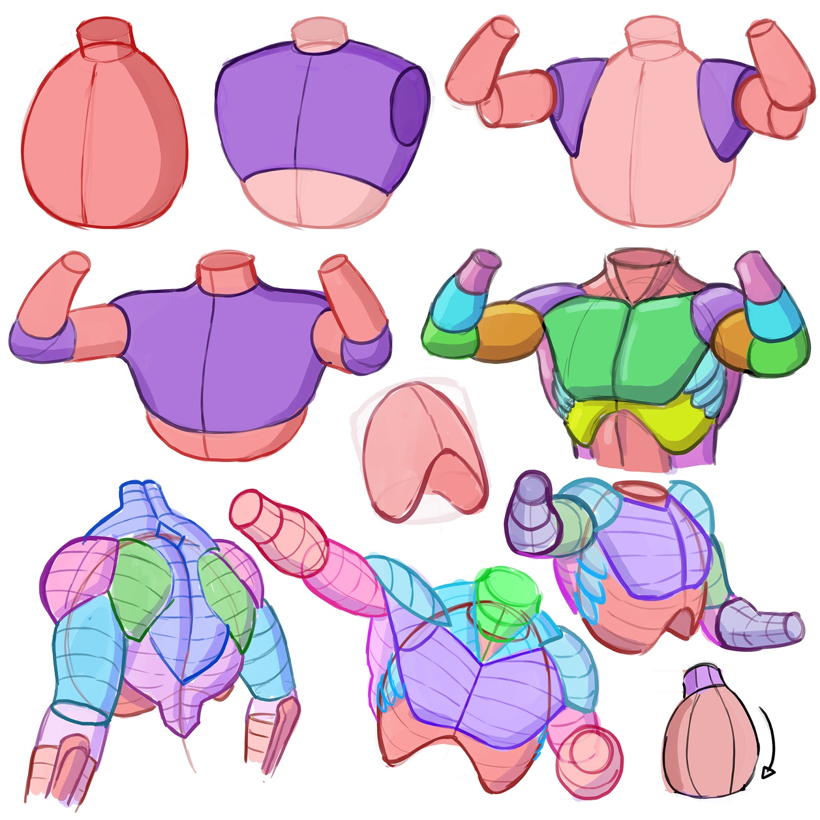 Learning drawing principles: torso