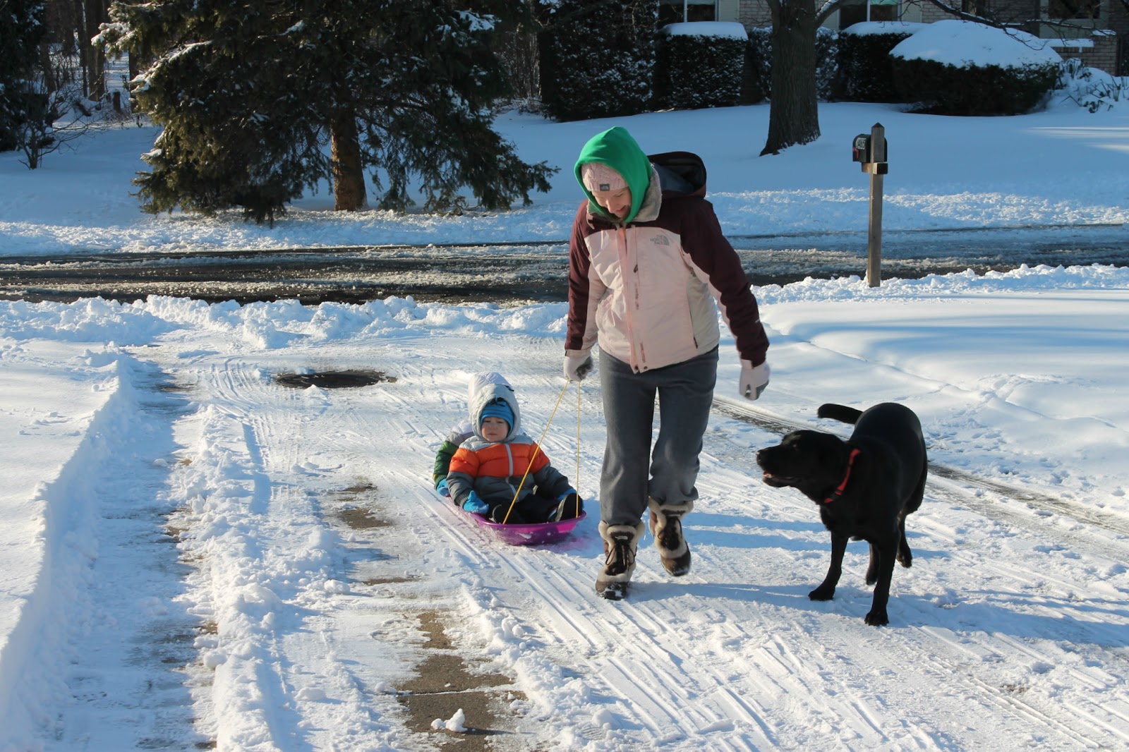 The twins and our pup: Our "A Christmas Story" inspired snow day