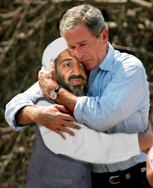 Cool Pictures: Funny bush wallpaper2012 & funny bush pictures enjoy