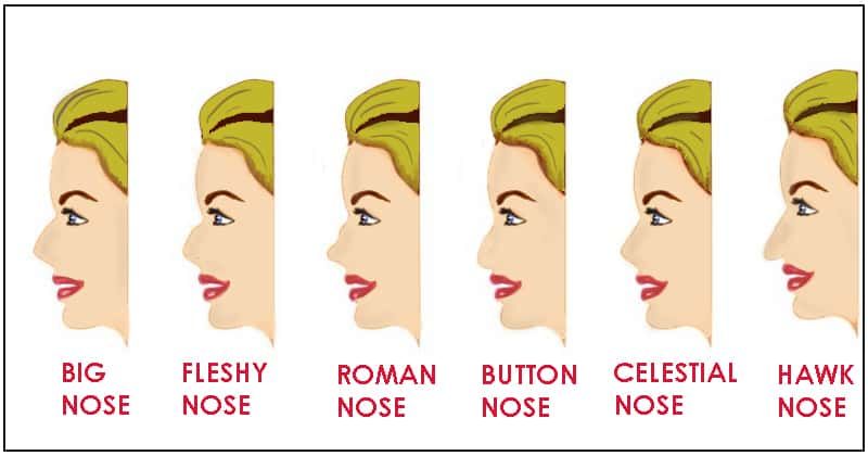 Learn The Beauty Of Blogging: What ? The 8+ Shape of Nose Reveals ...