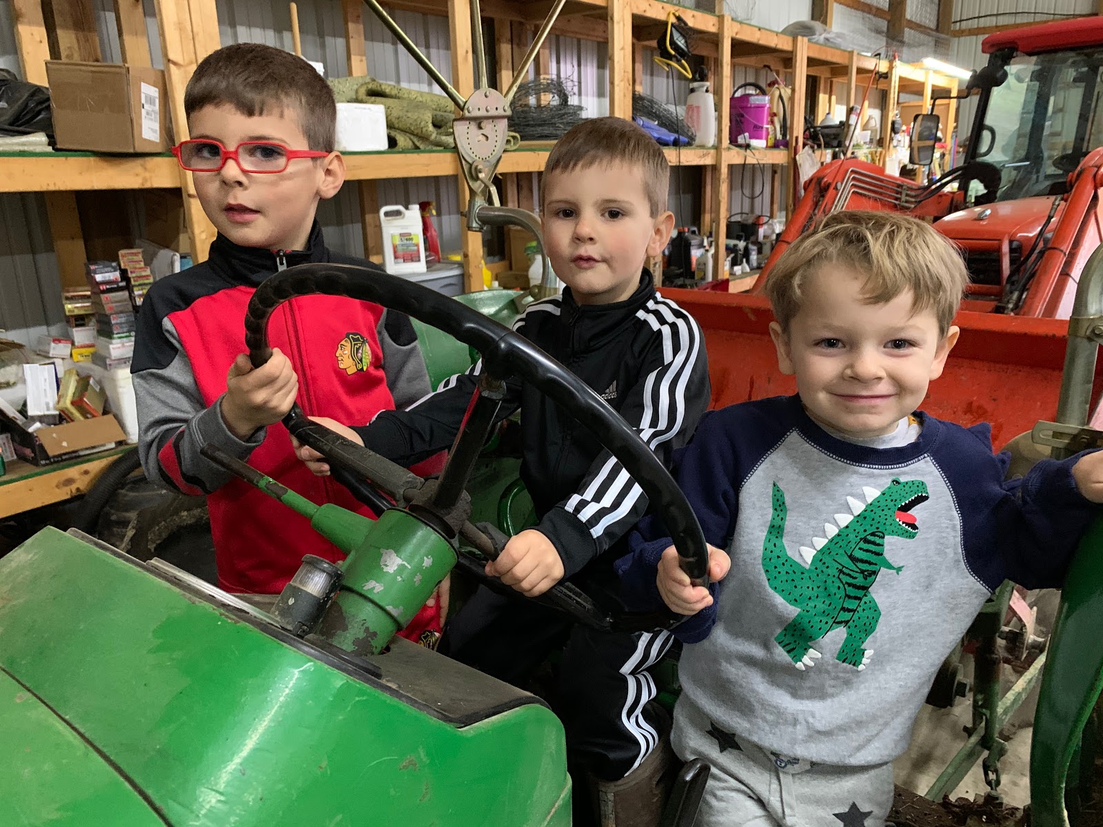 Laurel Ridge Farm: 2019