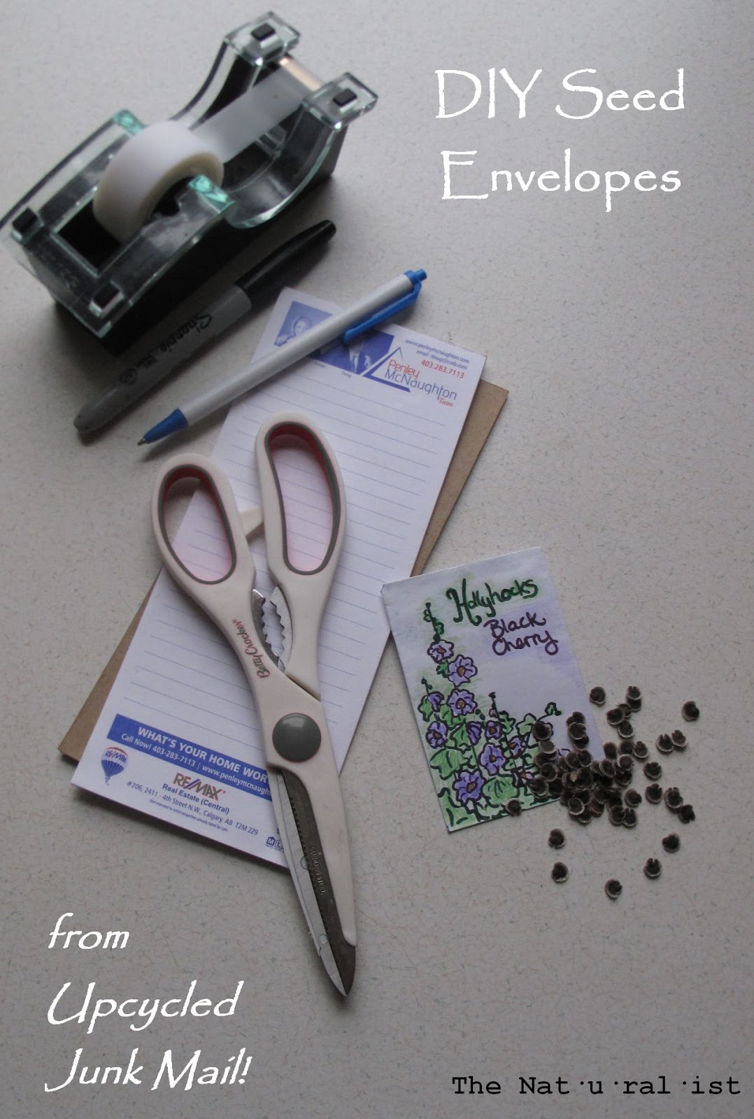 The Nat·u·ral·ist: DIY Seed Envelopes