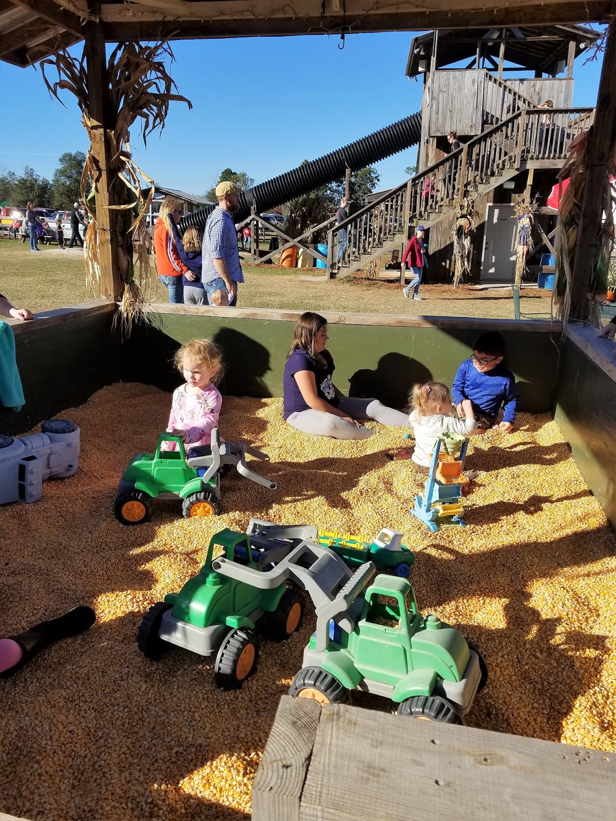 Another Mile Another Destination Blog: Steed’s Dairy Farm and The Corn ...