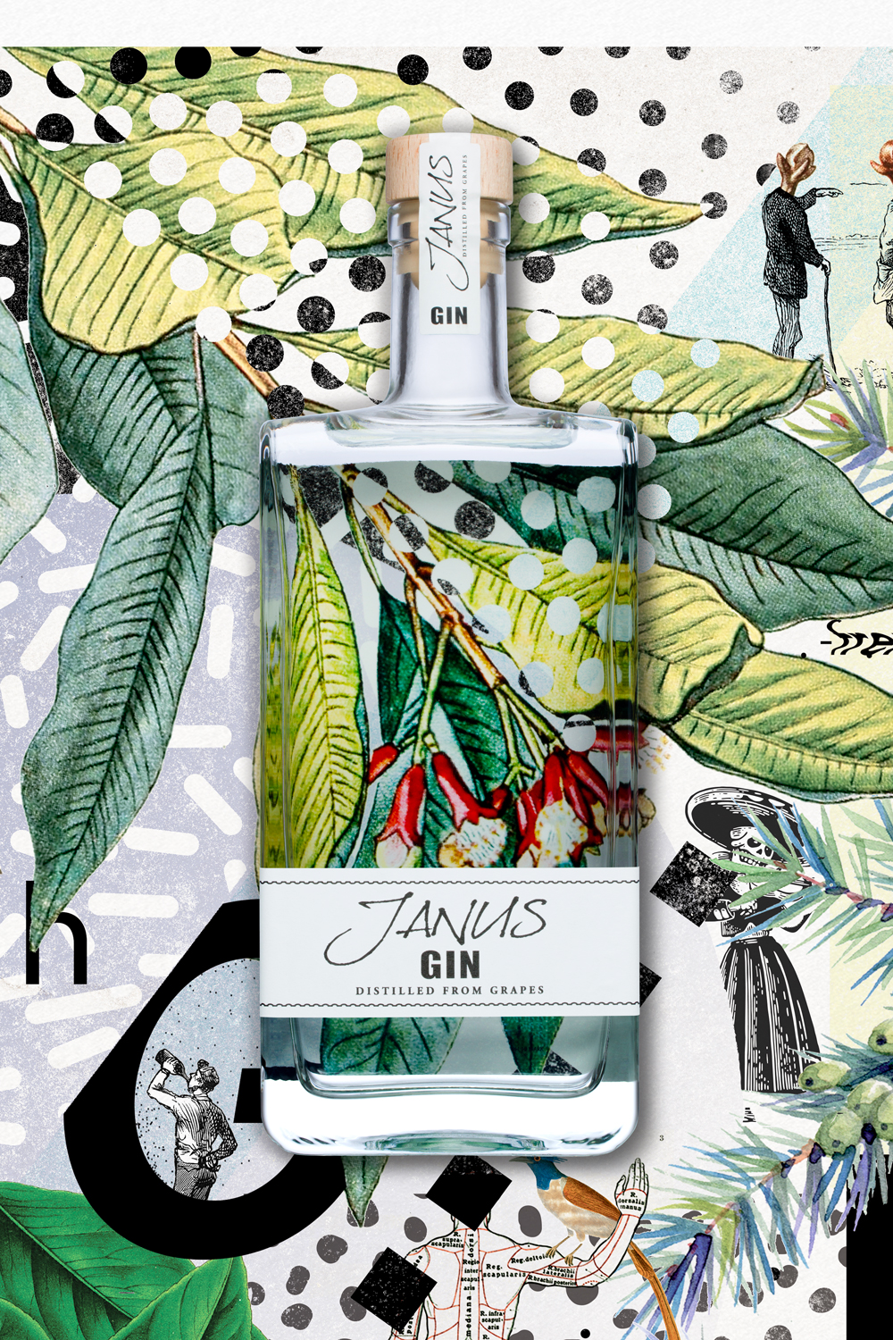 Janus Gin – Packaging Of The World